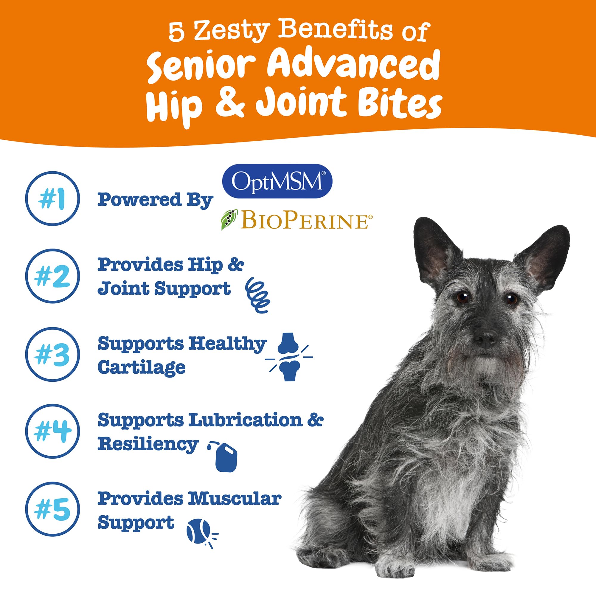Zesty Paws Mobility Bites Joint Supplement for Dogs - Hip and Joint Chews for Dogs - Glucosamine for Dogs, Chondroitin, & MSM + Vitamins C and E for Dog Joint Relief - Adv Chicken - 60 Count