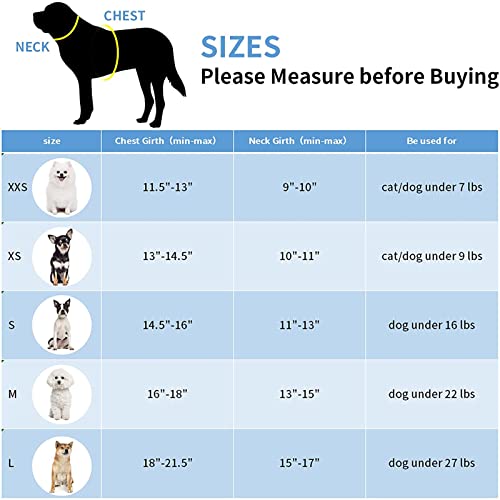 Soft Mesh Dog Harness and Leash Set for Walking Summer Step in Vest Harness Reflective Bands Adjustable No Pull Pet Supplies for Small Dogs and House Cats Belly Bands for Dogs with Snaps (Orange, XS)