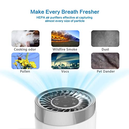 TREDY HEPA Filter Air Purifier for Home Large Room, H13 True HEPA Filter for Smoke, Dust, Hair, Pet Dander, Pollen, Ozone Free, Quiet, TD-1300