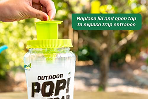 RESCUE! POP! Fly Trap – Large Reusable Fly Trap for Outdoor Use