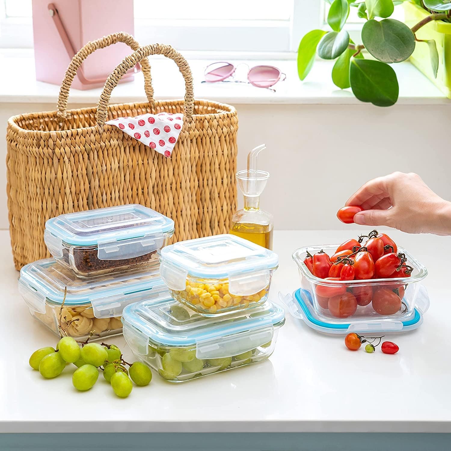 Moss & Stone Kitchen Glass Food Storage Containers Set with Lids 10 Pcs. Snapware Transparent Lids Leak Proof, Oven, Freezer, Microwave & Dishwasher Safe, Airtight Meal Prep Container Glass BPA-Free