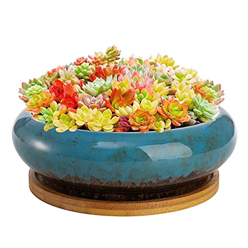 Peohud Ceramic Succulent Pot, 7.2 Inch Large Succulent Planter Pot with Drainage Hole, Shallow Bonsai Pot with Bamboo Tray for Cactus Indoor Outdoor Plant