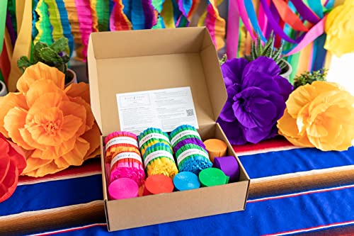 Riles & Bash Fiesta Streamer Backdrop with Crepe Paper Flowers and Ruffled Streamers (Fiesta)