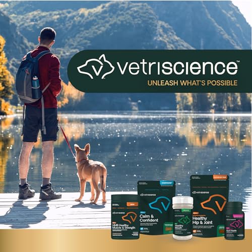 VetriScience Extra Strength Gut Health Easy-Open Capsules, Probiotic & Prebiotic Digestive Supplement for Dogs & Cats, Digestion, Gas & Diarrhea, Immune Support, 7.5 Billion CFU Per Capsule, 120 Count
