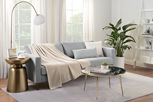 SERTA Cozy Plush Thick Fuzzy Super Soft Lightweight Throw Blanket for Bed, Couch, or Travel, Twin (60 in x 80 in), Taupe