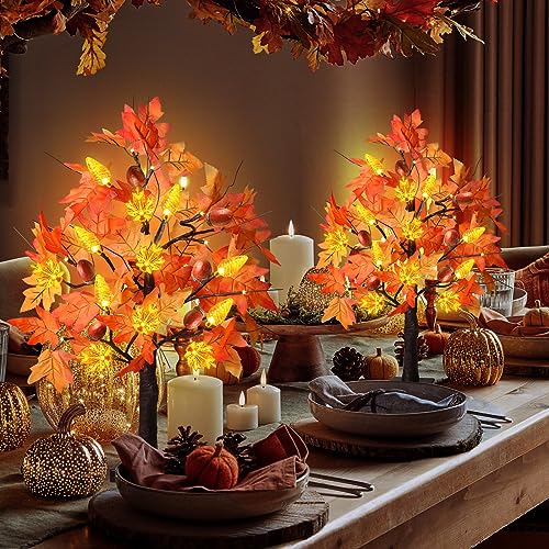 SURCVIO 2 Pack 24 Inch Prelit Fall Maple Tree Fall Decor with 48 LEDs Timer Battery Operated Pinecones Acorns Artificial Autumn Maple Tree for Thanksgiving Harvest Indoor Outdoor Home Decorations
