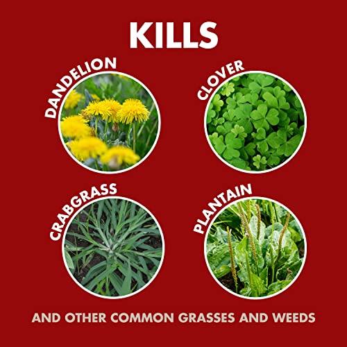 Spectracide Weed And Grass Foaming Edger 17 Ounces, Aerosol, For Edging Along Yards - pack of 12