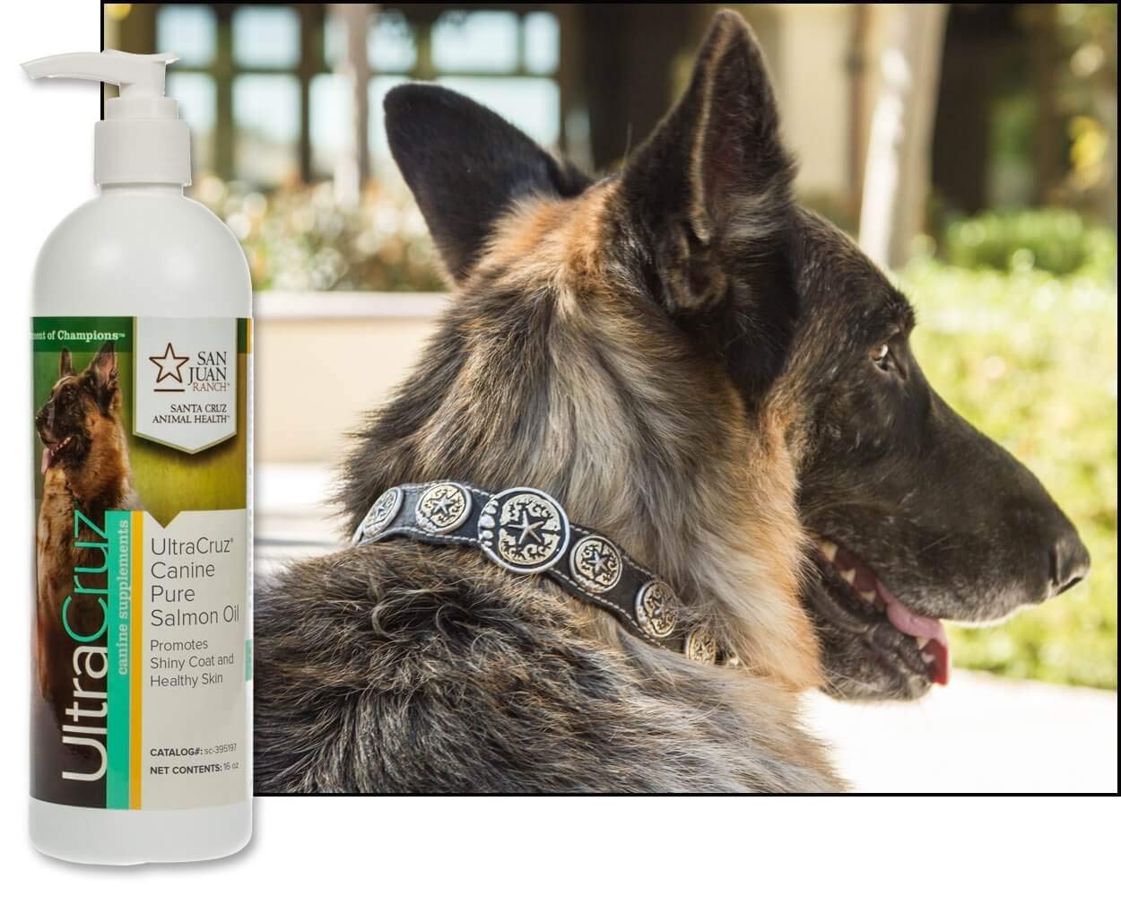 UltraCruz-sc-395197 Canine Pure Salmon Oil Supplement for Dogs, 16 oz