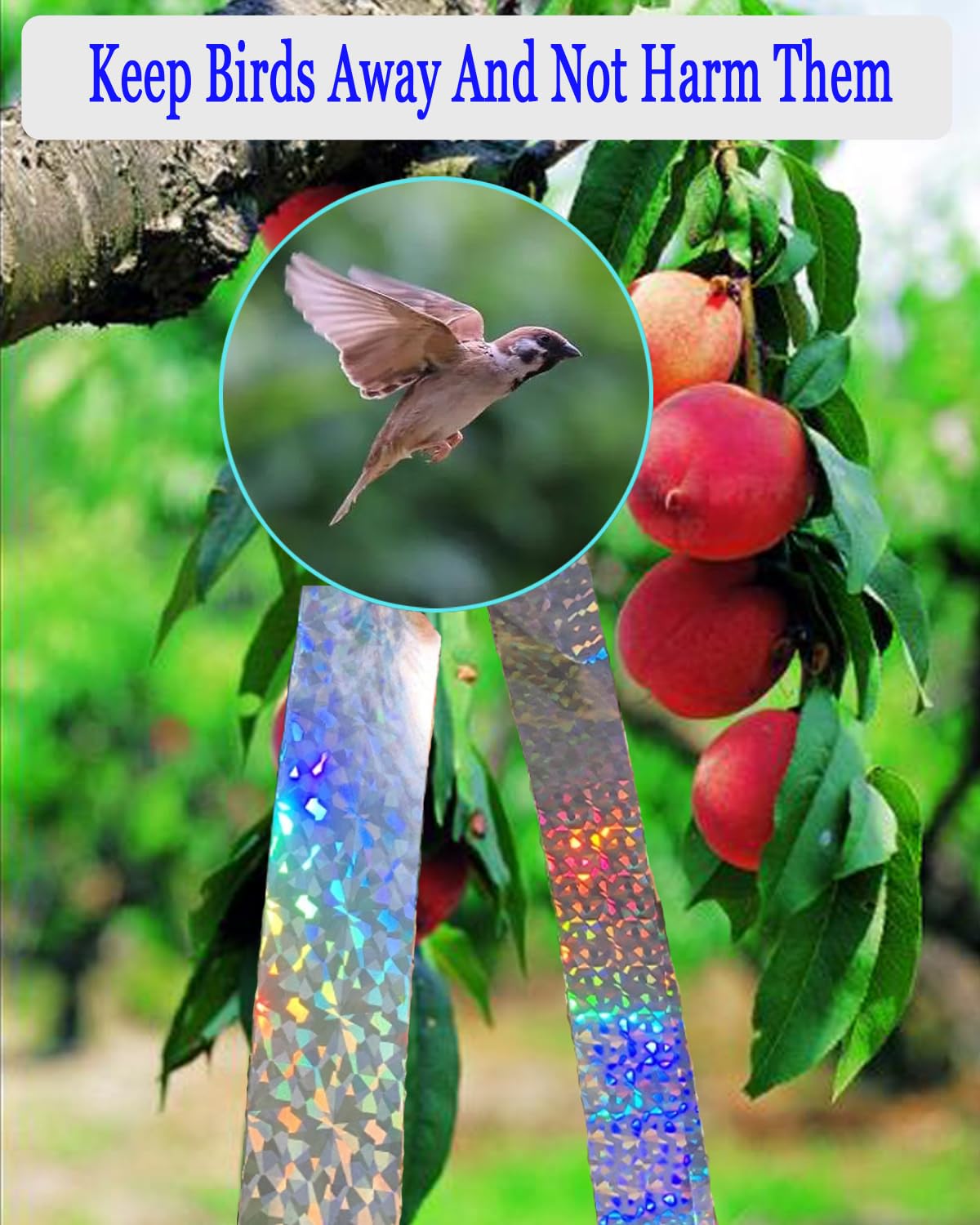 Whtawtaw 2 Rolls 328 FT Bird Scare Tape Ribbon, Deterrent Visual Audible Reflective Tape to Keep Away Birds, Holographic Double Sided Flash Tape for Outdoor, Garden, Balcony