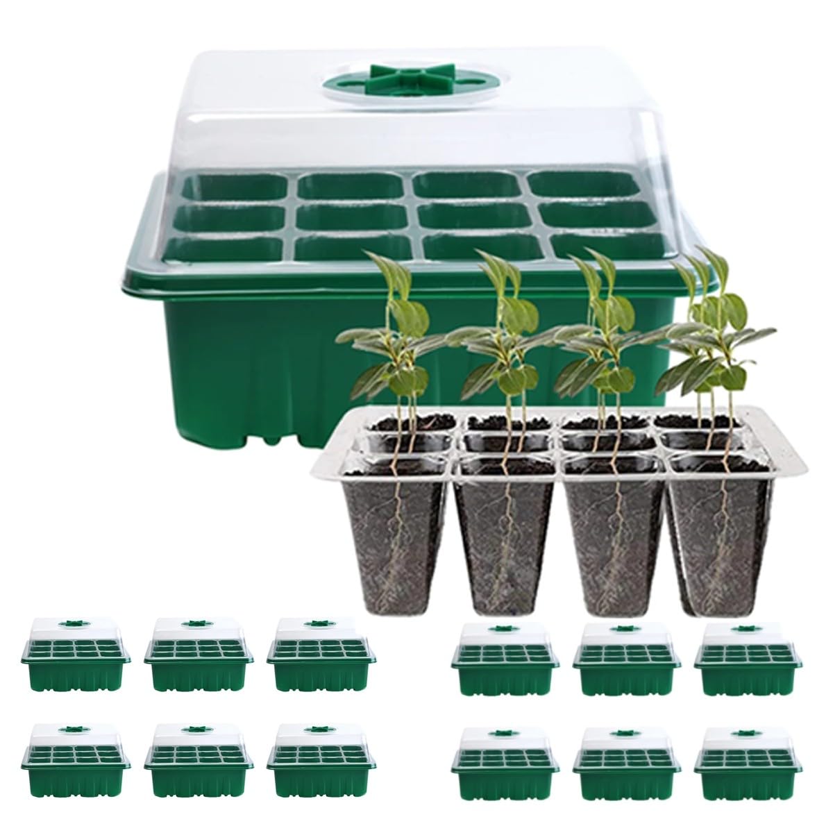 GYTF 12-Pack Seedling Starter Trays, 144-Cell Plant Starting Kit with Humidity Dome for Small Mini Greenhouse Germination Seeds Growing Starting