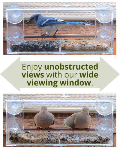 Nature's Envoy Window Bird Feeder β Clear View for Birdwatching - Strong Suction Cups for Outside - Slide Out Seed Tray w/Drain Holes for Easy Refill & Clean - Acrylic Outdoor Feeder for Wild Birds