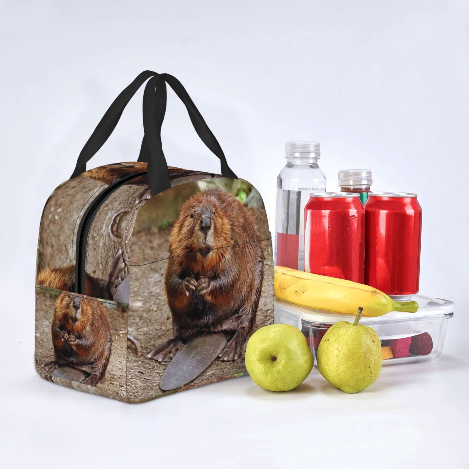 Larklitz Cute Funny Beaver Reusable Insulated Lunch Bag, 8.5in x 8in x 5in, Polyester, For Women Men