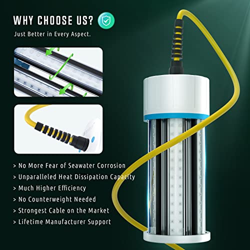 Tendelux Underwater Fishing Light, 110V Super Bright Green LED Submersible Light Attractants for Docks, Boats or Kayaks, IP68 Rated for Fresh & Salt Water (30ft Cable)