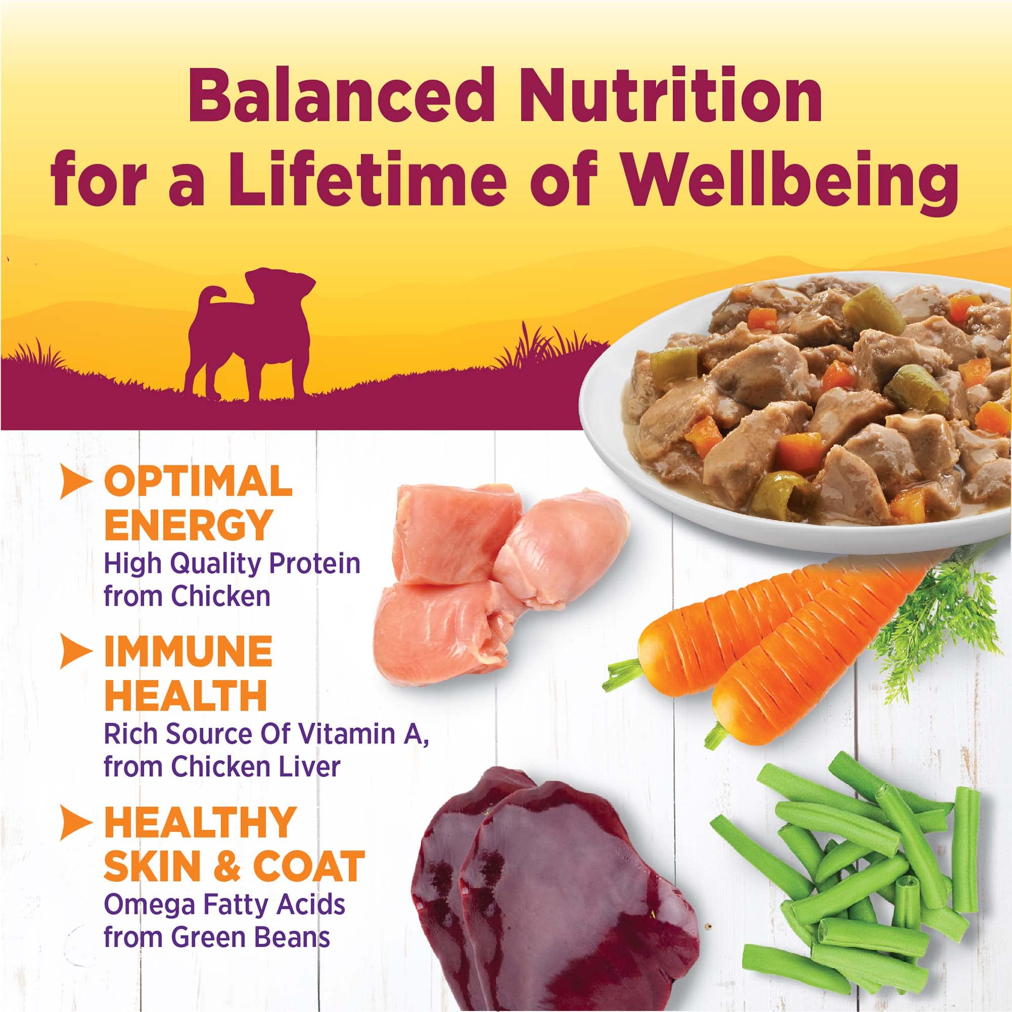 Wellness Petite Entrées Mini-Filets with Roasted Chicken, Beef, Carrots & Green Beans in Gravy, 3-Ounce Cup (Pack of 12)