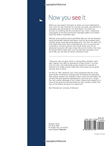 Now You See It: An Introduction to Visual Data Sensemaking