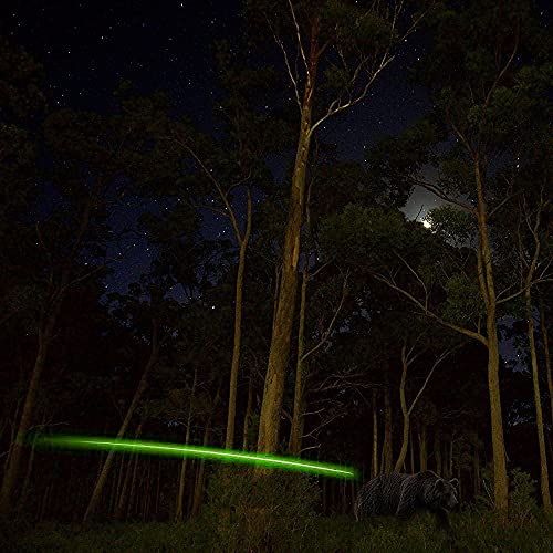 HUNTER ACTION 6Pcs Lighted Nocks for Crossbow Bolts with .3"/7.62mm Inside Diameter.Automatic Light Up When Shooting (Red)