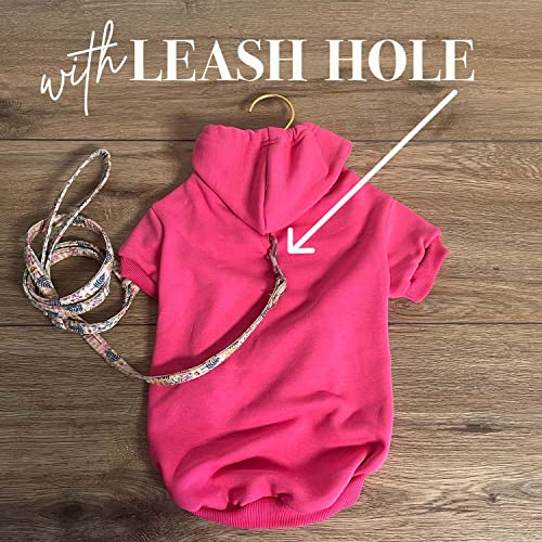 Stealing Hearts & Blasting Farts Valentine's Day Pullover Fleece Lined Dog Hoodie with Leash Hole (Red Hooded Sweatshirt)