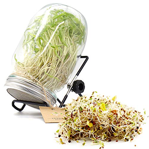 LIVEBAY Sprouting Jar Kit Stainless Steel Kitchen Sprouting Lids and Stands Seed Sprouter Set Organic Healthy Fresh 1L Wide Mouth Mason Jar for Broccoli, Alfalfa, Mung Beans