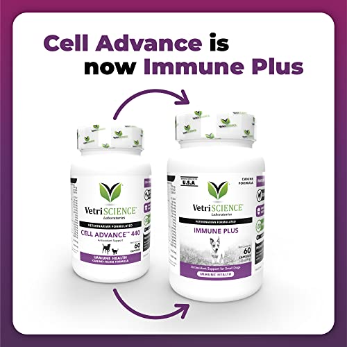 VetriScience Immune Plus Immunity Support for Small Dogs, 60 Capsules – Immune and Allergy Support Supplement for Dogs Under 30 Pounds - Formerly Cell Advance 440