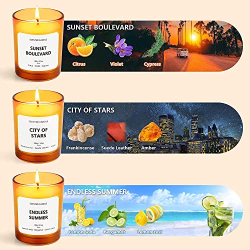 Scented Candles Set City of Stars, Endless Summer, Sunset Boulevard/Jar Candle Rose of Desert