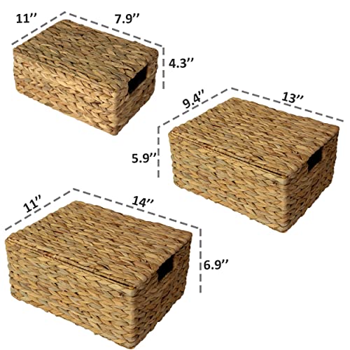 Set of 3 Pack Nesting Storage Baskets with Lids and Insert Handles for Home Organization | Closet Wicker Lidded Baskets for Shelves | Straw Wire Woven Storage Baskets with Lids (Water Hyacinth)
