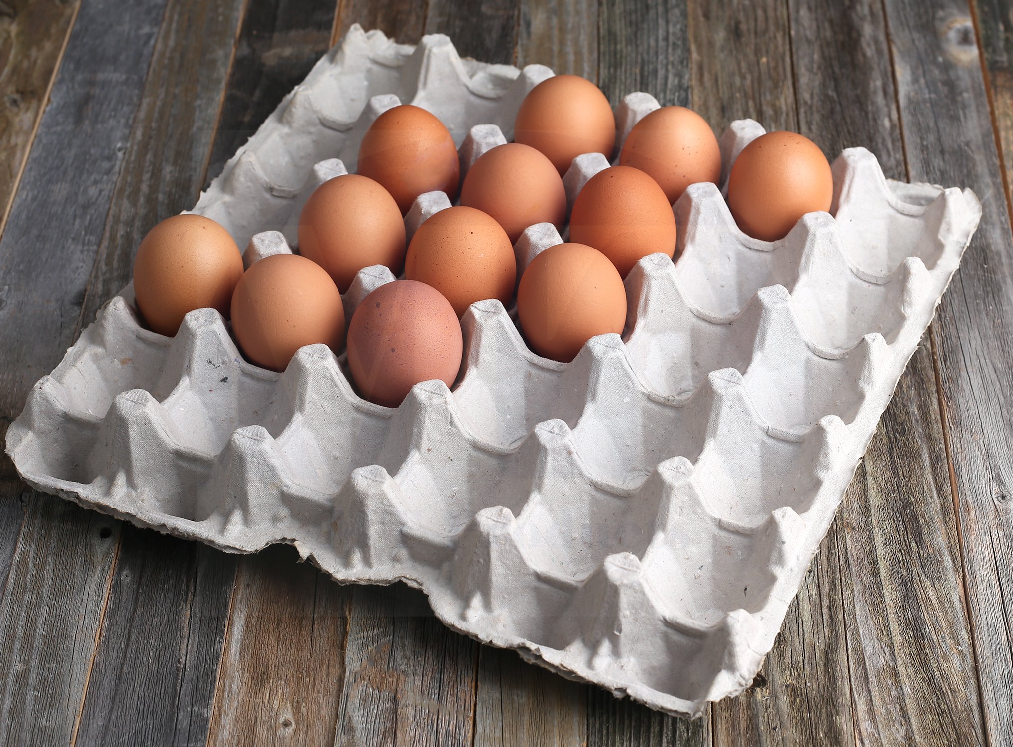 MT Products Egg Crates, Egg Flat Cartons Bulk Holds 30 Eggs - Pulp Fiber Egg Crate for Chicken Farm - Great Home for Roach Colony - Made in the USA - 15 Flats