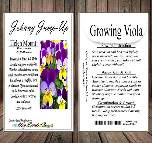 MySeeds.Co Big Pack - Johnny Jump Up Flower Seeds (20,000 Seeds) - Viola cornuta 'Helen Mount' - Edible Flower Seeds (Big Pack - Johnny Jump Up)
