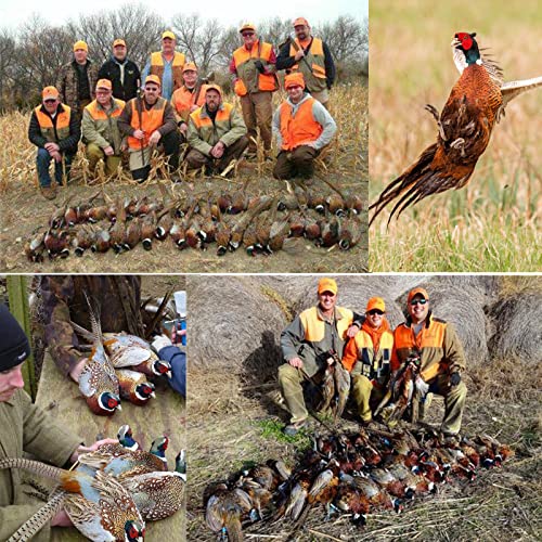 Professional Bird Trap for Chicken, Pheasant,Wild Duck, Partridge Mallard and Other Medium-Sized Birds Tying Birds' feet Won't Hurt Them