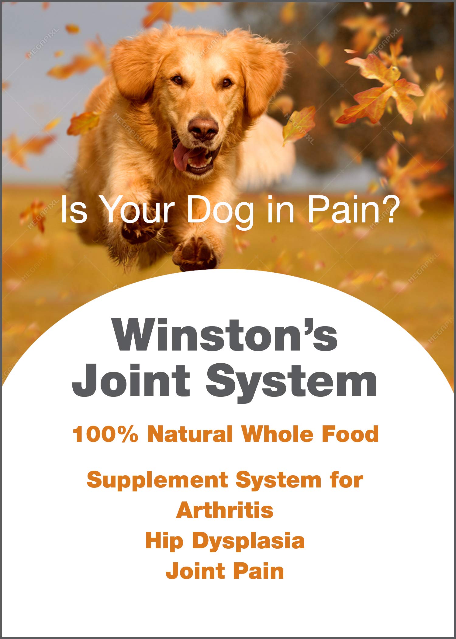 Winston Joint System - for Large Dogs Over 100 Pounds - 100% Natural Whole Food Supplement System for Arthritis, Hip Dysplasia and Joint + Pain Relief - One Month Supply - Since 1992