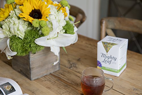 Mighty Leaf, Green tea Tropical, Tea Bags, 15 ct