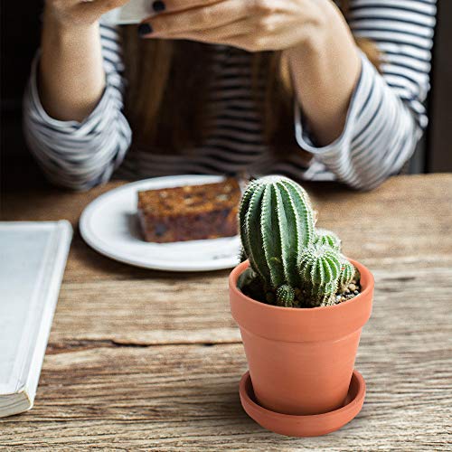 Nilos 12 Pack Terra Cotta Pots with Saucer - 12pcs 3 Inches Clay Pots with 7Pcs Succulent Tools Mini Flower Pot Planters for Succulent Display, Indoor, Outdoor, Home, Office, Wedding Decor