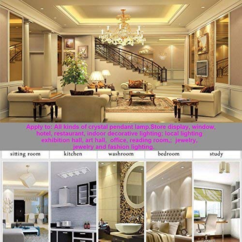 ZHENMING 110V- 130V G4 LED Bulb 120V Dimmable 3W(20W 30W Halogen Equivalent) Warm White 3000K Lamp (Cannot be Used at Low Voltage 12V) - Pack of 10