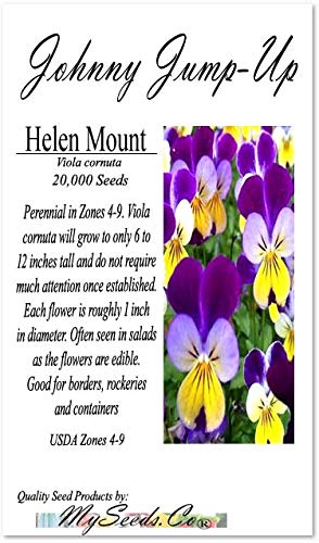 MySeeds.Co Big Pack - Johnny Jump Up Flower Seeds (20,000 Seeds) - Viola cornuta 'Helen Mount' - Edible Flower Seeds (Big Pack - Johnny Jump Up)