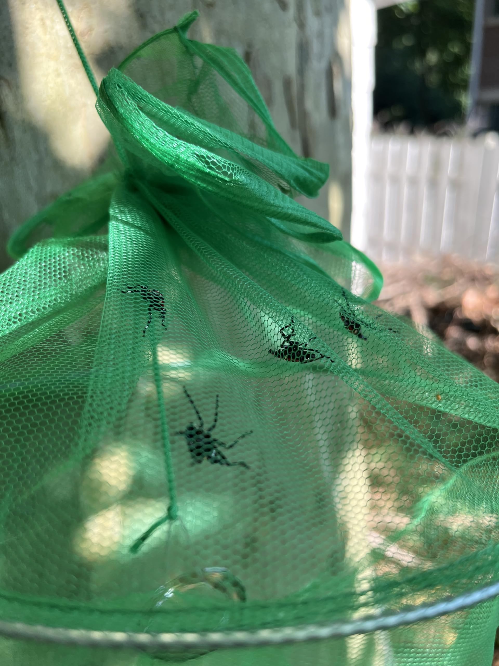 Spotted Lanternfly Mesh House Trap SLF. Simple and Effective Way to Catch Lantern Flies and Nymphs., Green