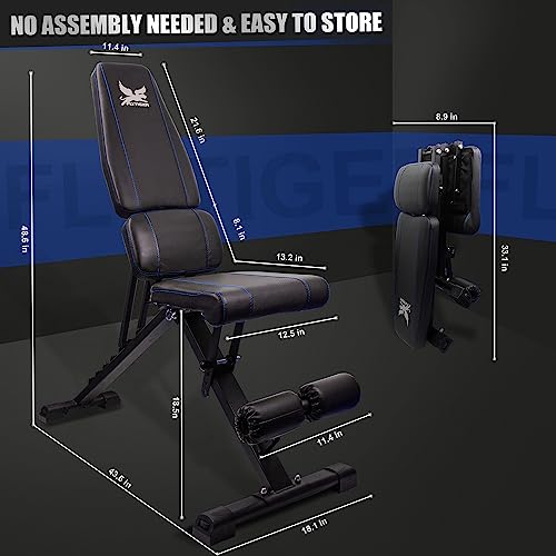 Weight Bench Adjustable Strength Training Workout Benches Foldable Work Out Incline Bench Set for Home Gym Weight Lifting Dumbbell Exercise Full Body Workout with Resistance Rope