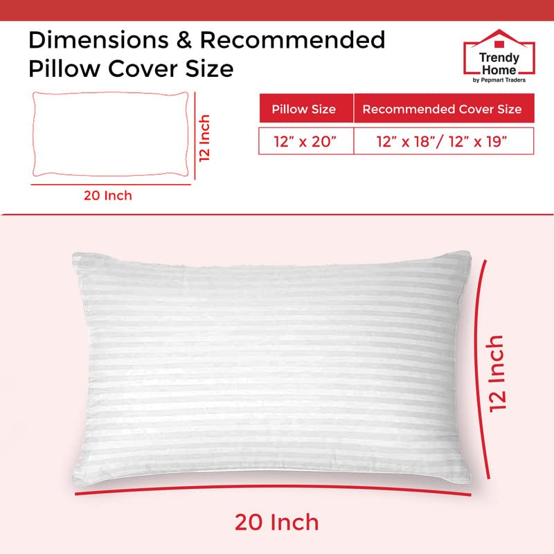 Trendy Home 12x20 Throw Pillow Insert with Extra Removable Satin Pillow Case, Cushion Sham Stuffer Lumbar Support Decorative Home Outdoor Pillow Filler (AquaBlue)