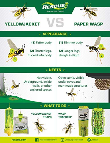 RESCUE! Yellowjacket Attractant β for RESCUE! Reusable Yellowjacket Traps β 4 Week Supply - 20 Pack