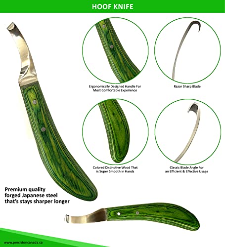 PRECISION CANADA Super Sharp Loop Blade Hoof Knife for Right Handed of Japanese Stainless Steel with Smooth Wooden Handle