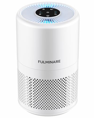 Original FULMINARE T10 Air Purifier Replacement Filter, 3-In-1 Filter, Efficiency Activated Carbon, Filtering Out 99.99% 0.01 Microns, Smoke, Pollen, Particles