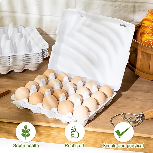 Hushee 30 Pack Empty Egg Cartons Bulk Paper Pulp Egg Cartons Blank Cardboard Egg Container Chicken Eggs Storage Display Tray Holds 20 Eggs for Egg Storage Beer Ball Game
