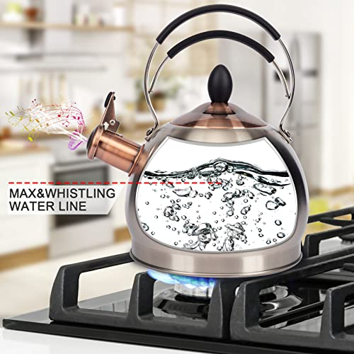 Whistling Tea Kettle Stainless Steel Teapot, Teakettle for Stovetop Induction Stove Top, Fast Boiling Heat Water Tea Pot 2.6 Quart