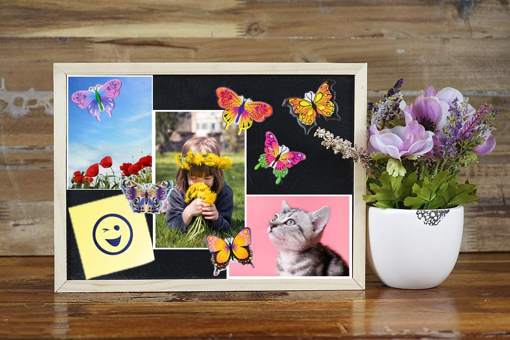 M MORCART Butterfly Magnets for Fridge Refrigerator Cute Magnets Suitable for Kitchen Locker Office Board Gifts for Kids Girl 6 pcs