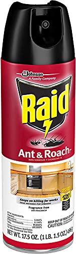 Raid Ant and Roach Killer, Fragrance Free, 17.5 OZ