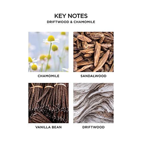 NEST Fragrances Driftwood & Chamomile Scented 3-Wick, Long-Lasting Candle for Home with Rattan Sleeve, 21 Oz