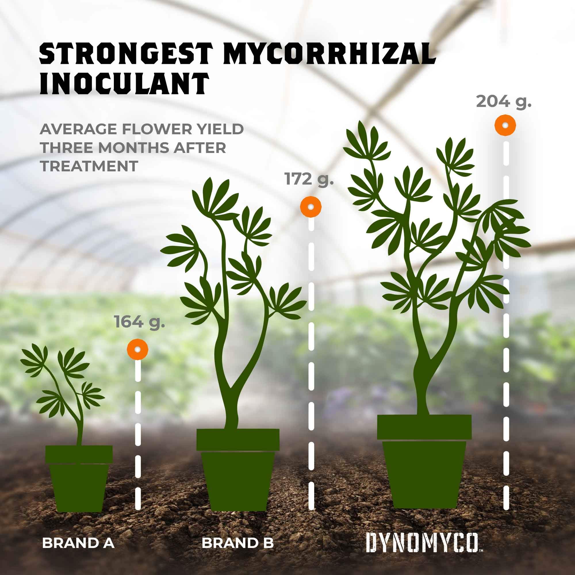 Mycorrhizal Inoculant by DYNOMYCO β High Performing Strains β Concentrated Formula β Improves Nutrient Uptake β Increases Plant Yields Enhances Resilience to Stress Saves Fertilizer (3.5 Oz / Up to 20 Plants)