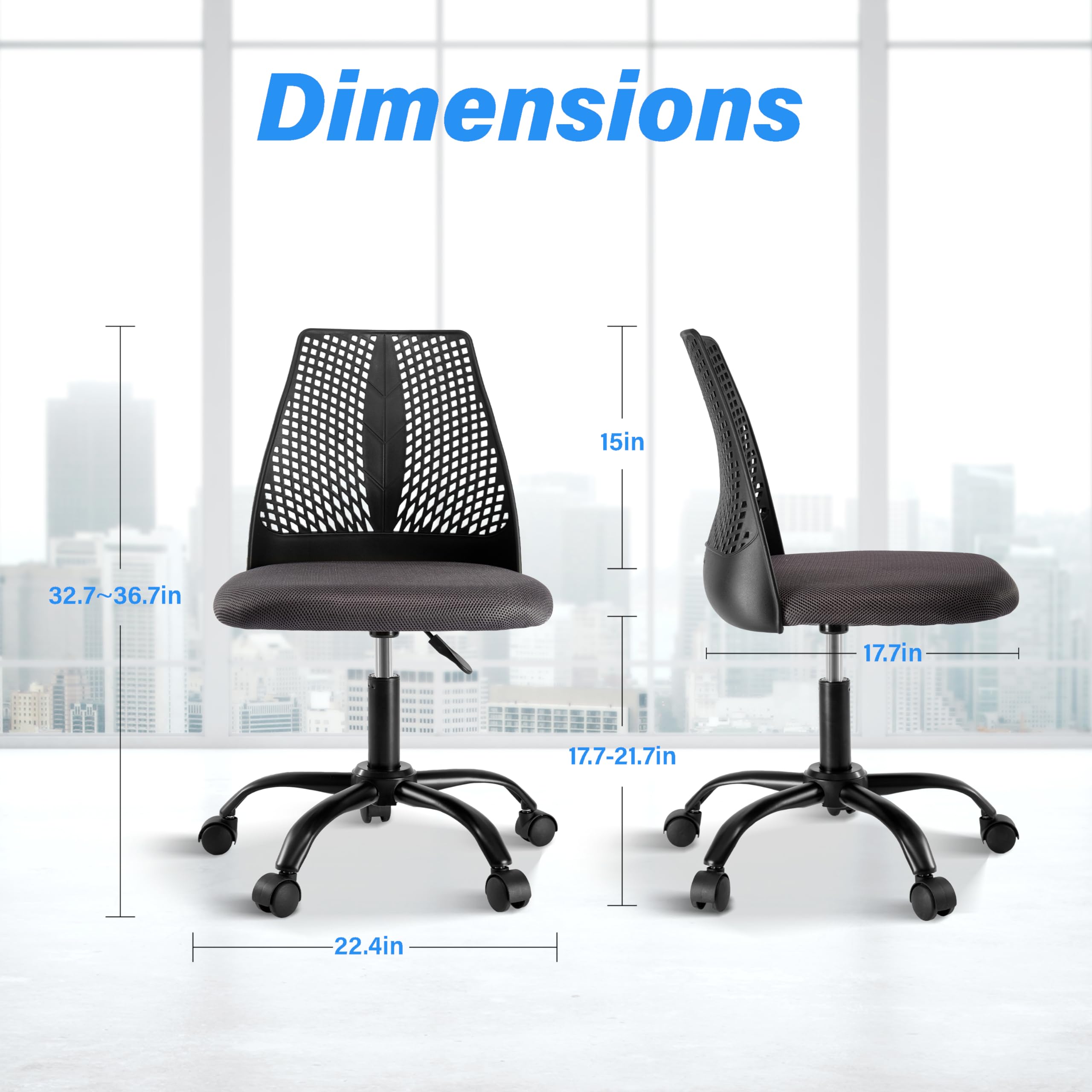 Simple Deluxe Ergonomic Office Chair, Black & Gray
