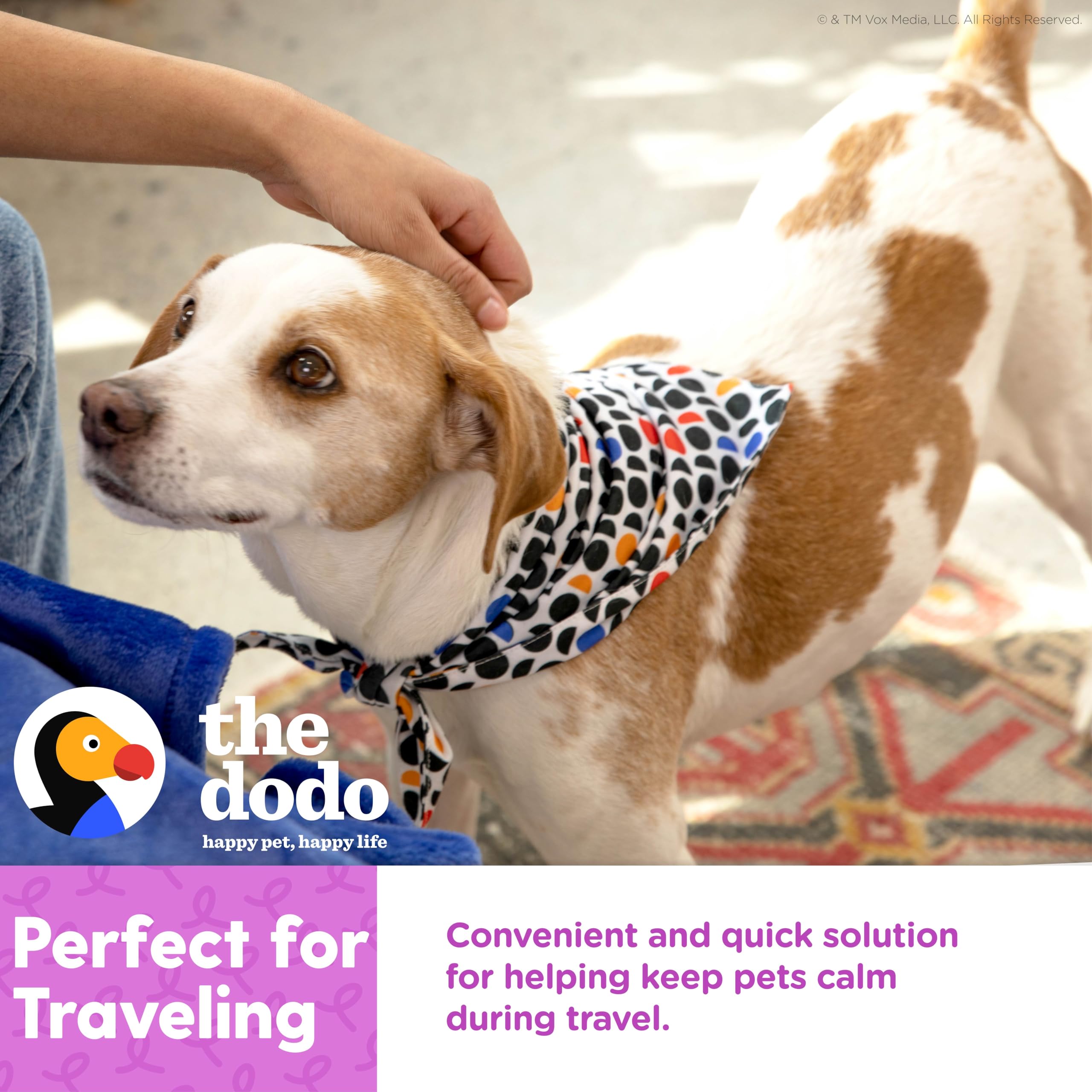 The Dodo Calming Spray for Dogs, Soothing Lavender Scent with Lavender and Chamomile