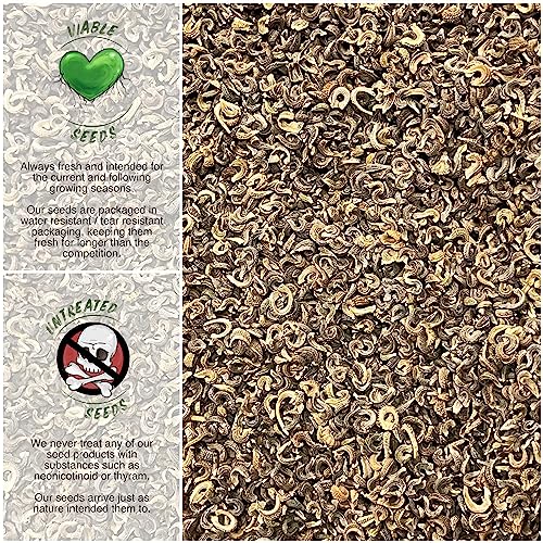 Seed Needs, 1000+ Calendula Pink Surprise Seeds (Calendula officinalis) Non-GMO Wildflowers - Butterfly and Bee Attracting! - Bulk