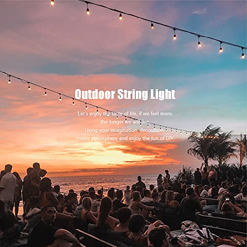 NEREUS String Light Hanging Kit with 164 Ft Nylon Coated 304 Stainless Steel Wire Rope, String Light Suspension Kit, Guide Wire with Turnbuckles and Hooks for Patio, Backyard Lighting Accessories
