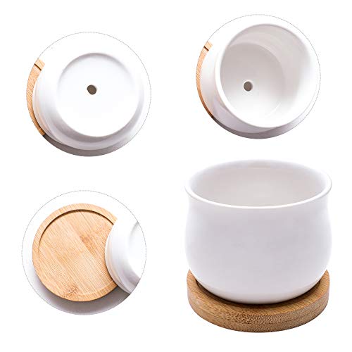 SHECIPIN Succulent Plant Pot, White Mini 2.6 inch Ceramic Flower Planter Pot with Bamboo Tray, Pack of 8 - Plants Not Included